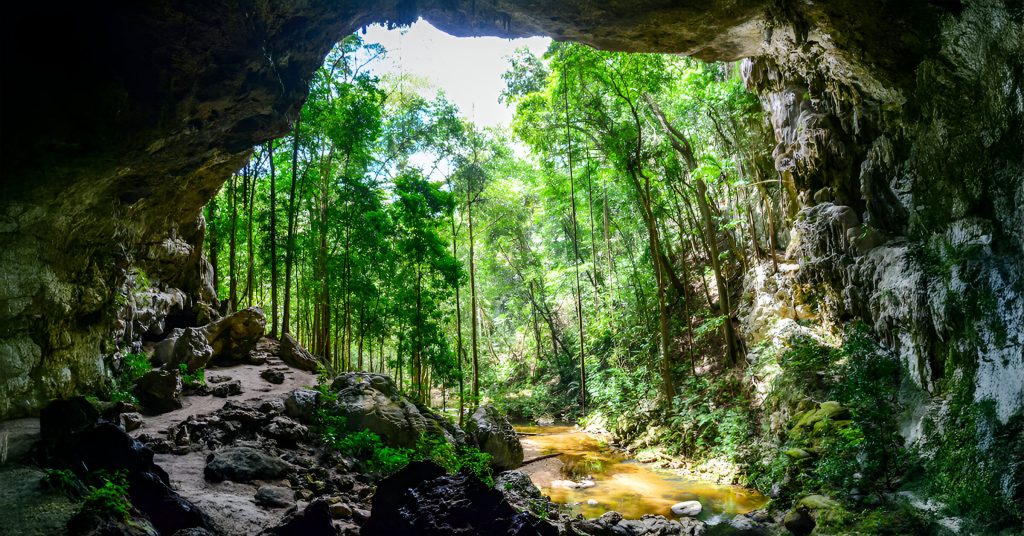 Top 10 Must-See Belize Destinations for Nature Lovers | Belize On Top